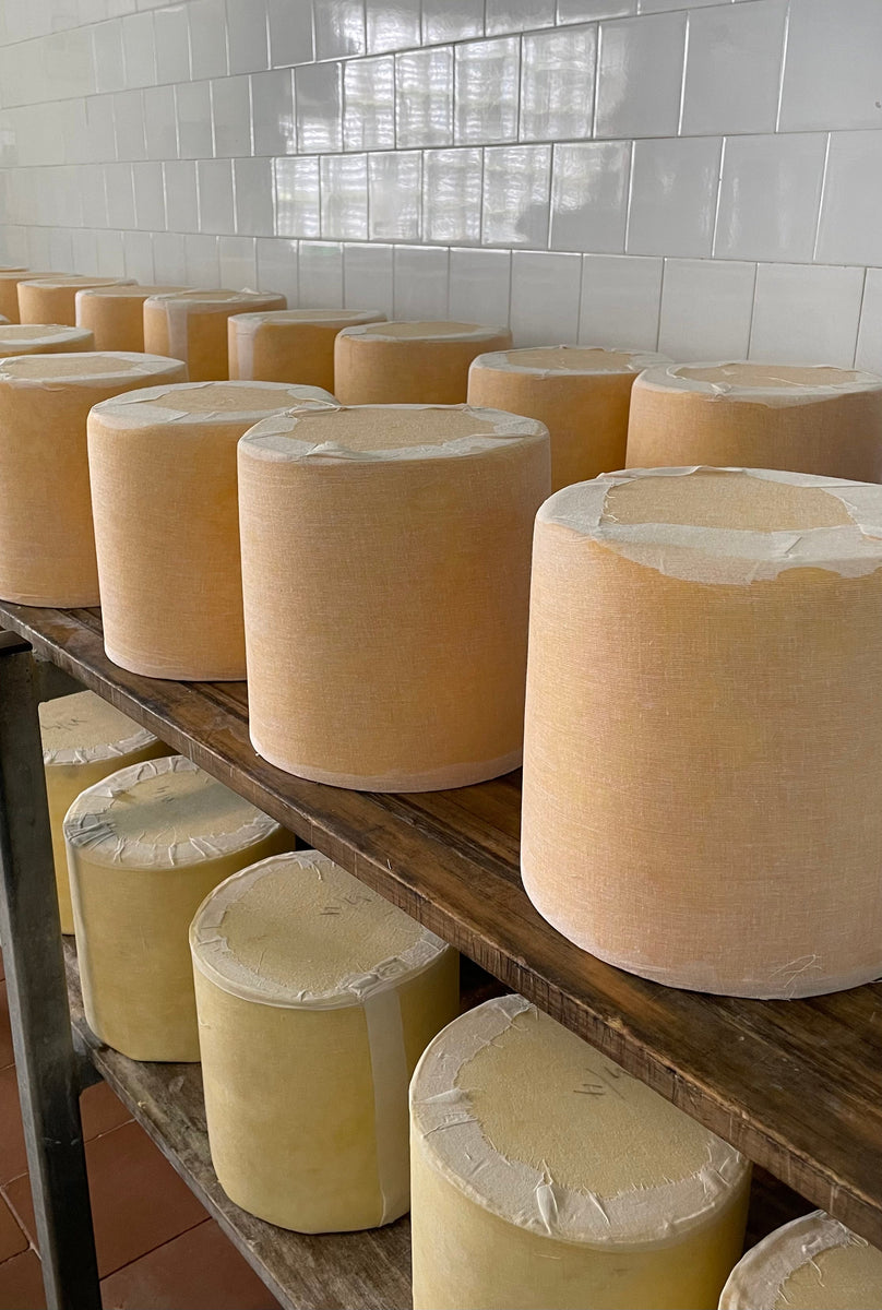 Our Cheese Range – Bournes Cheshire Cheese